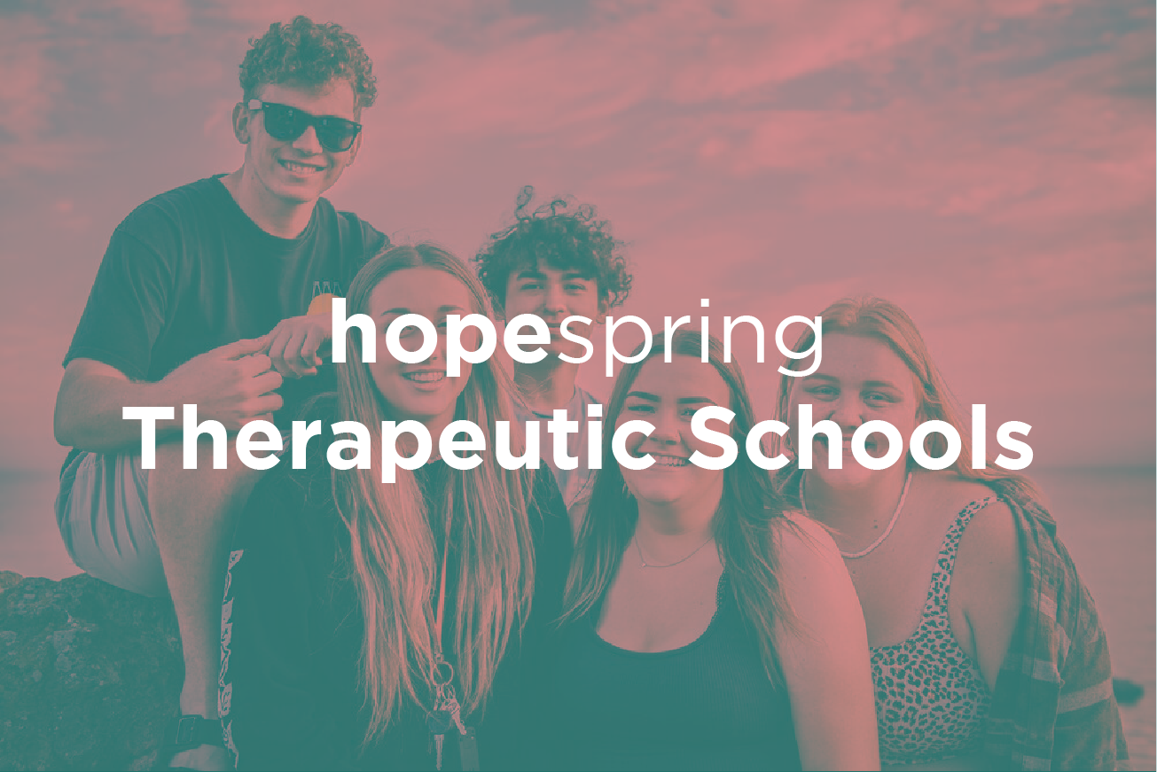 Our Projects – hopespring